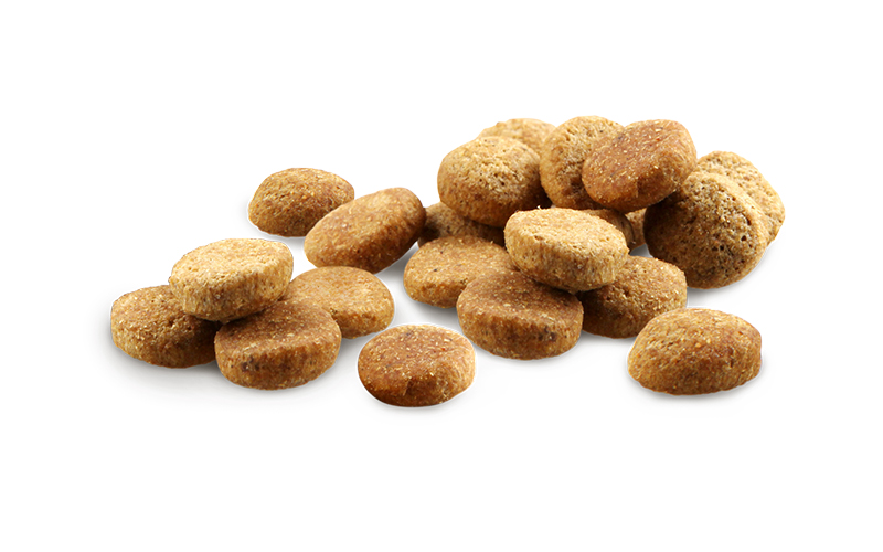 Dog Treats, Chews & Food Manufacturer | Gnawlers
