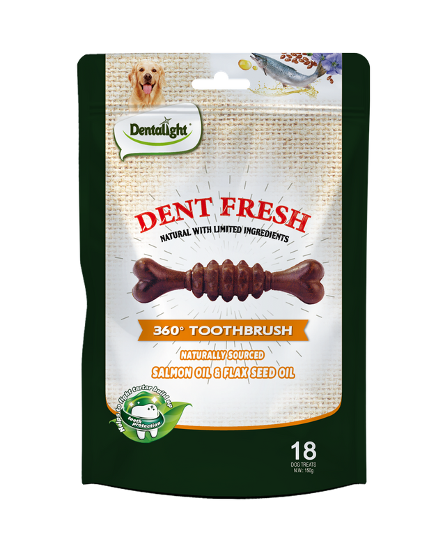 Dent Fresh